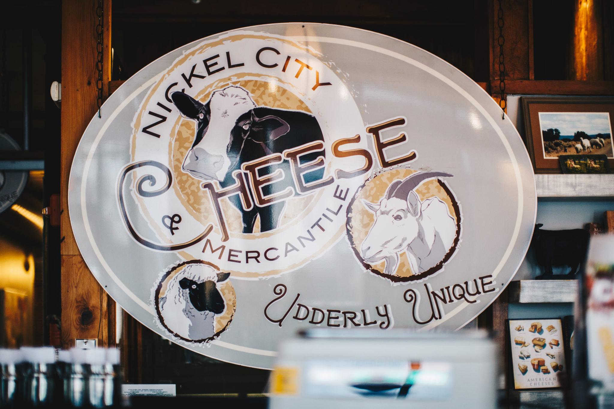 Jill Gedra: From Brie to Bistro | Qween City