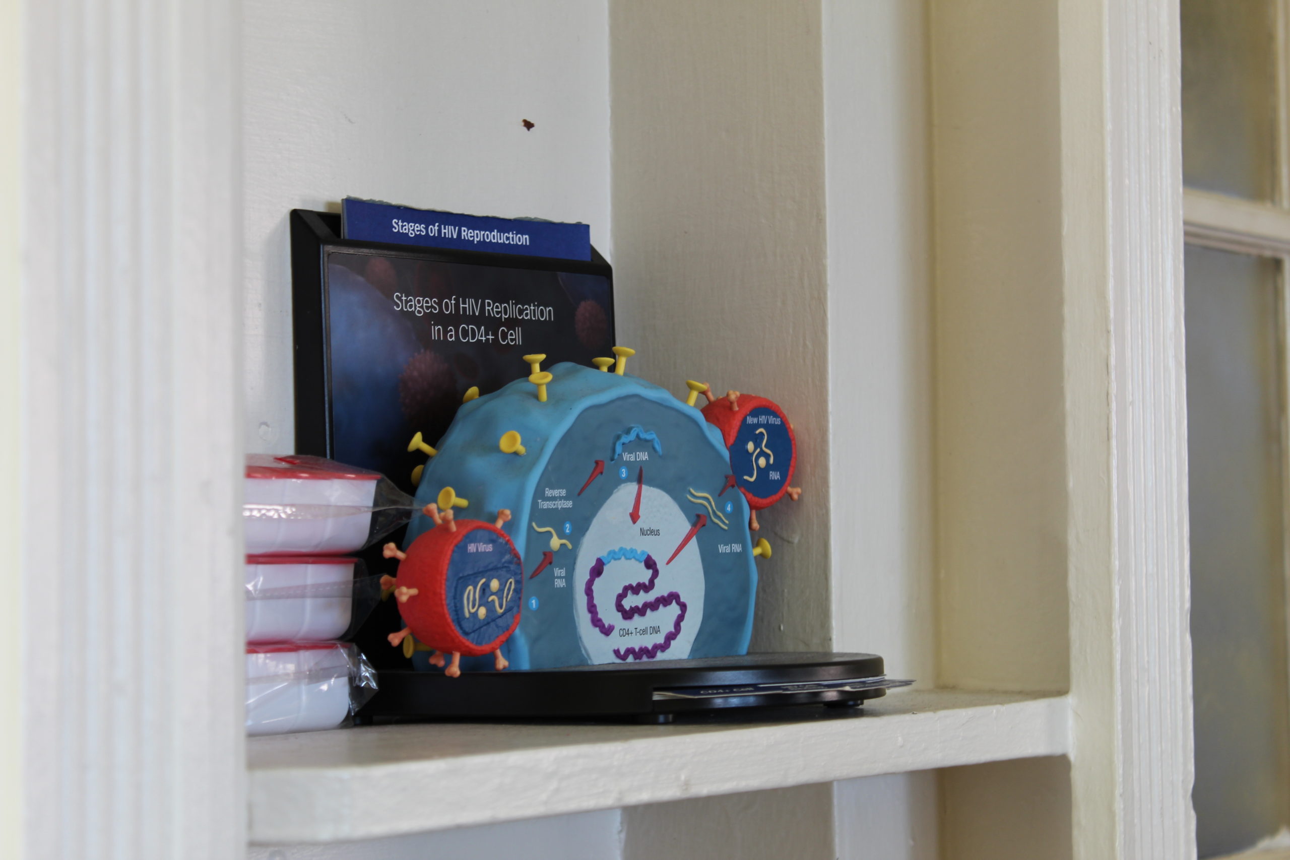 Good Neighbuzz: The MOCHA Center - Whole Stories Therapy